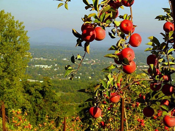 Travel to Charlottesville Virginia — sightDOING