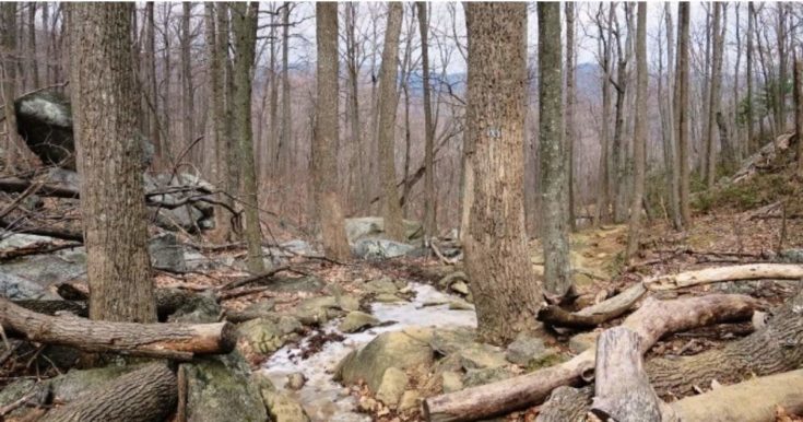 Hiking The Great Channels of Virginia — sightDOING