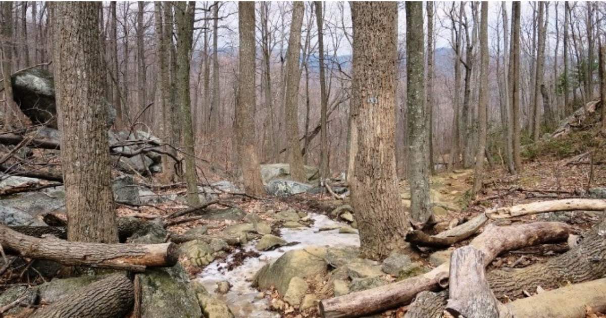 Hiking Old Rag in Winter (Shenandoah National Park) — sightDOING