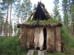 Svansele: Adventure, Nature, and Eating Off the Foraged Land