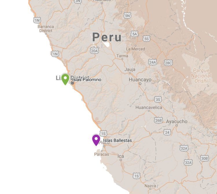 Ballestas Islands vs Islas Palomino: Which is Better for Peruvian Wildlife?