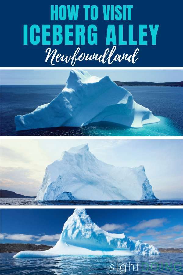 How to See Icebergs in Newfoundland — sightDOING
