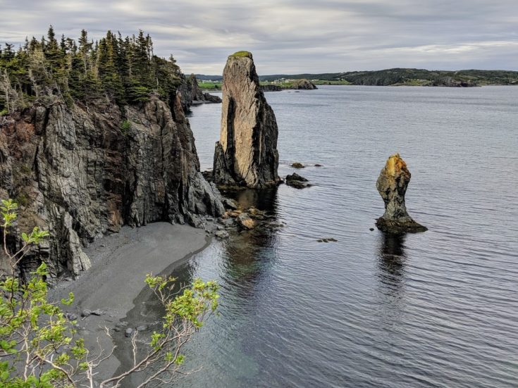 Where to See Some of the 600,000 Puffins in Newfoundland