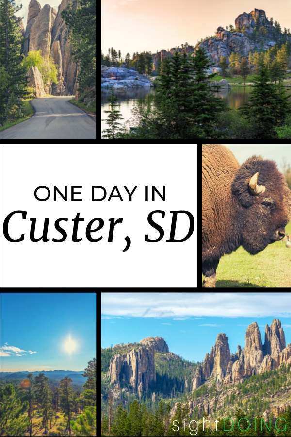 How to Make the Most of One Day in Custer State Park — sightDOING