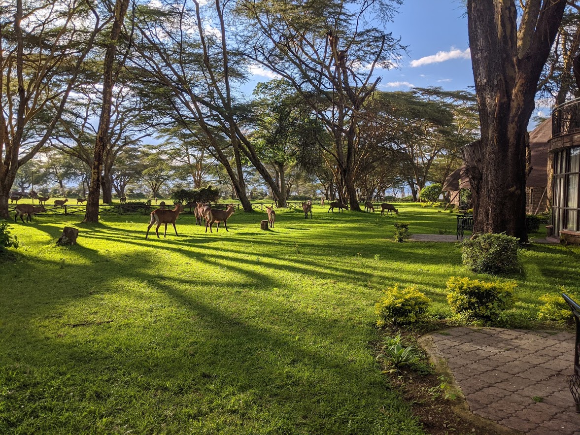 6 Fascinating Places to Visit in Naivasha, Kenya — sightDOING