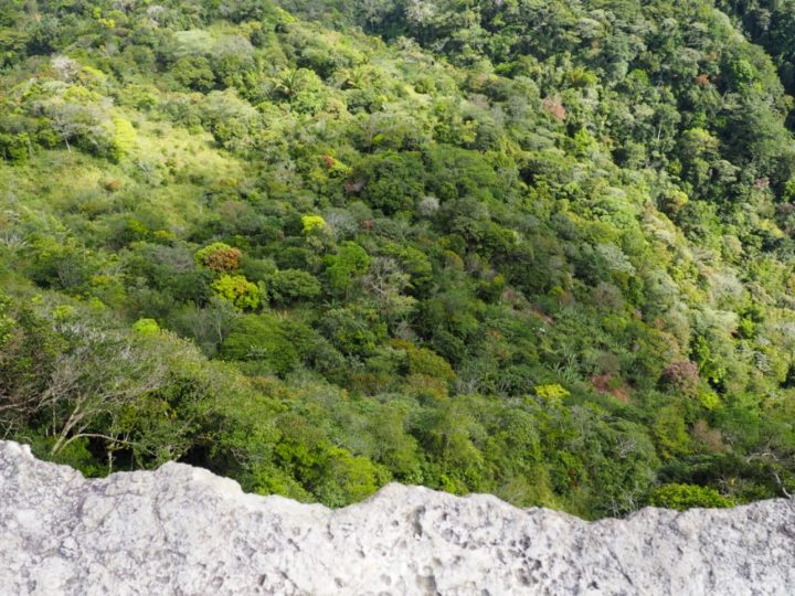 24 Photos of 24 Hours in El Valle de Anton Panama — sightDOING