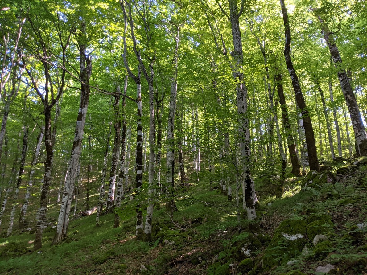 A Quick Guide to All 5 Montenegro National Parks — sightDOING